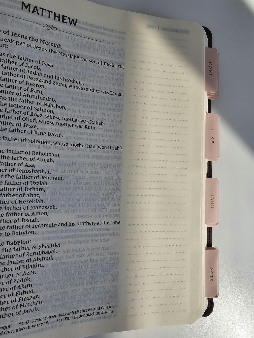 Blush Bible Tabs | The Daily Grace Co.