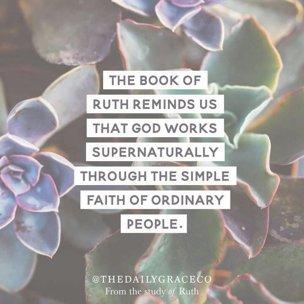 Ruth Study | Fields of Grace | The Daily Grace Co.