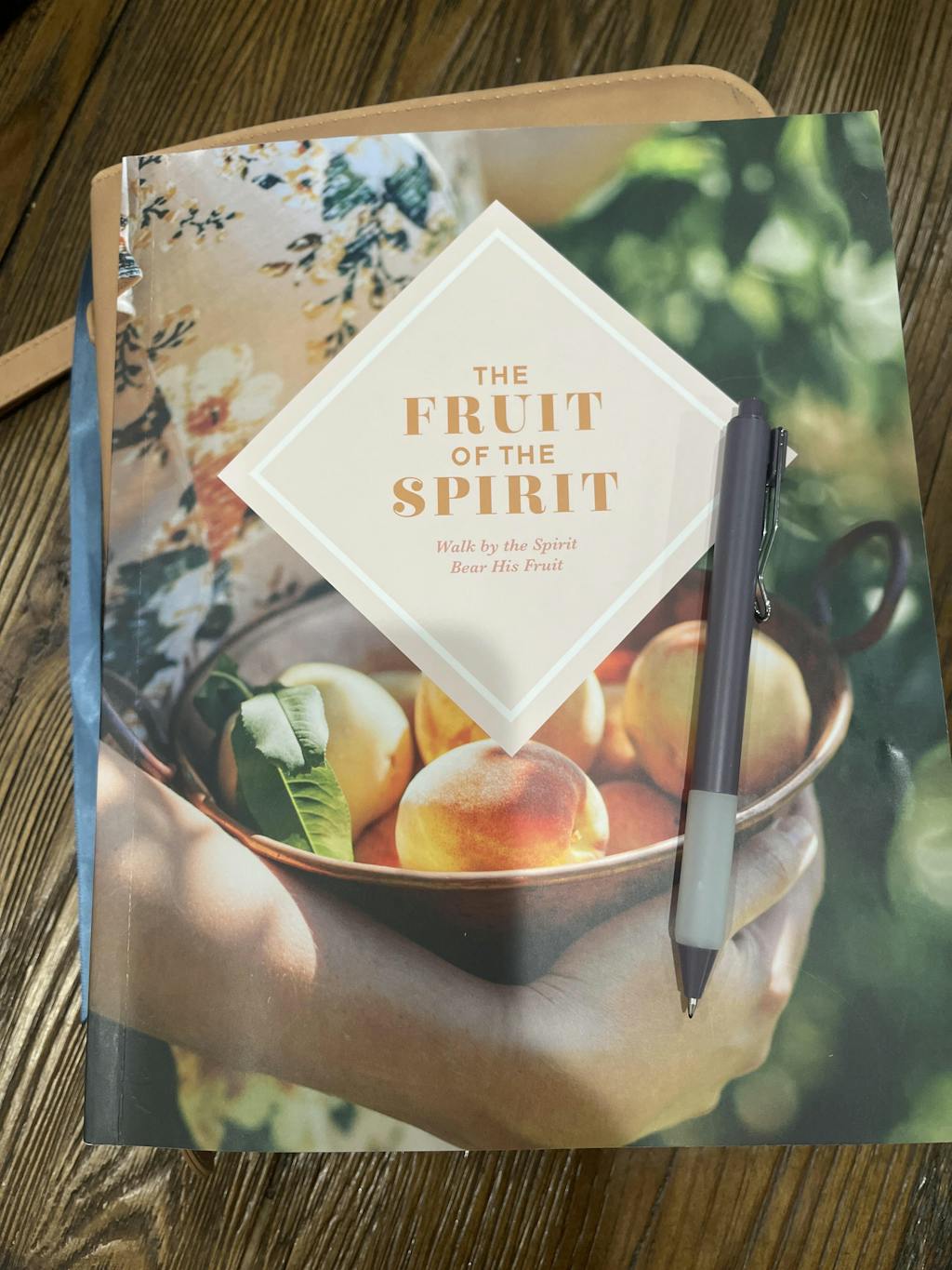 The Fruit of the Spirit Bible Study | TDGC – The Daily Grace Co.