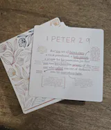 Verse Map Scripture Cards | TDGC – The Daily Grace Co.