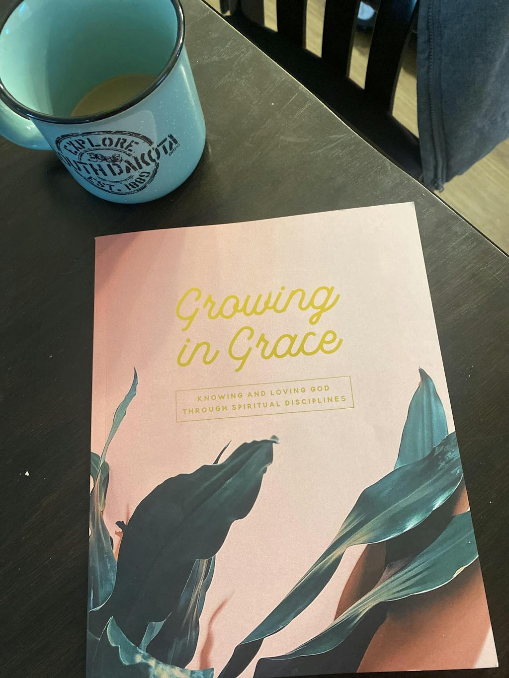 Growing in Grace Bible Study | TDGC – The Daily Grace Co.