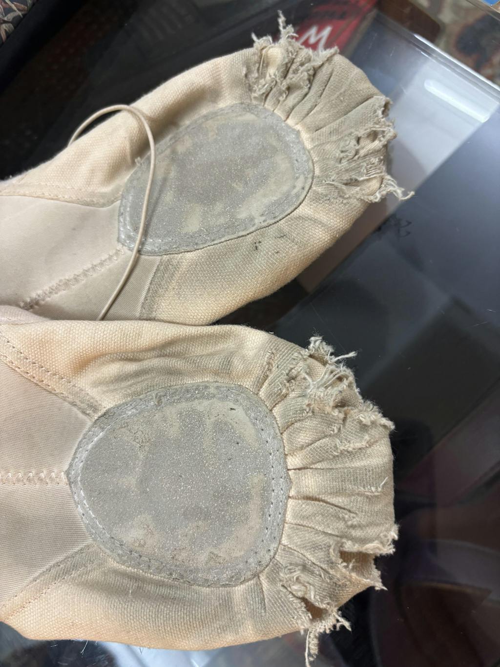 Buy Mesh Ballet Canvas Shoe Online – The Dance Bible