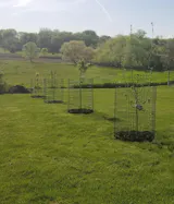 Deer Cage | Plant Protection | Wildlife Barrier | Easy To Use – The ...