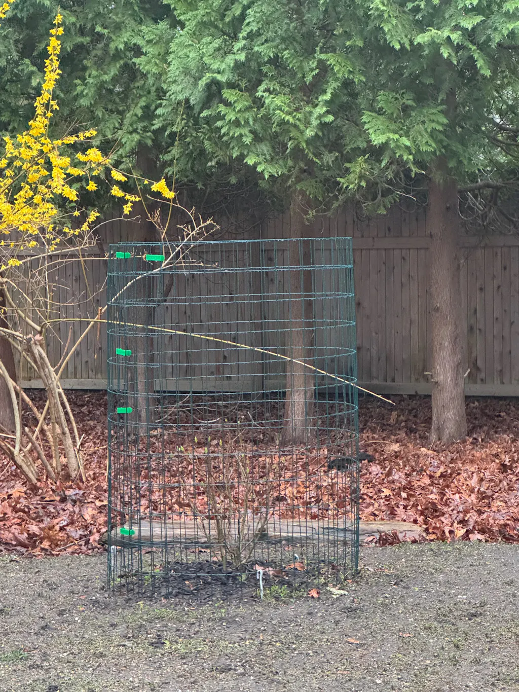 Deer Cage | Plant Protection | Wildlife Barrier | Easy To Use – The ...