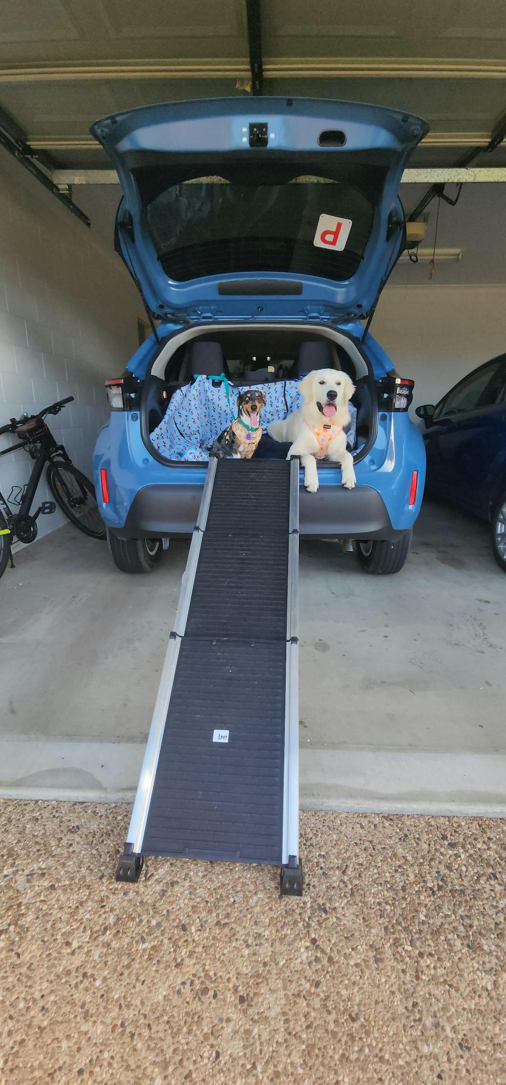 Heavy Duty Telescopic Aluminium Dog Ramp | The Dog Ramp Co.