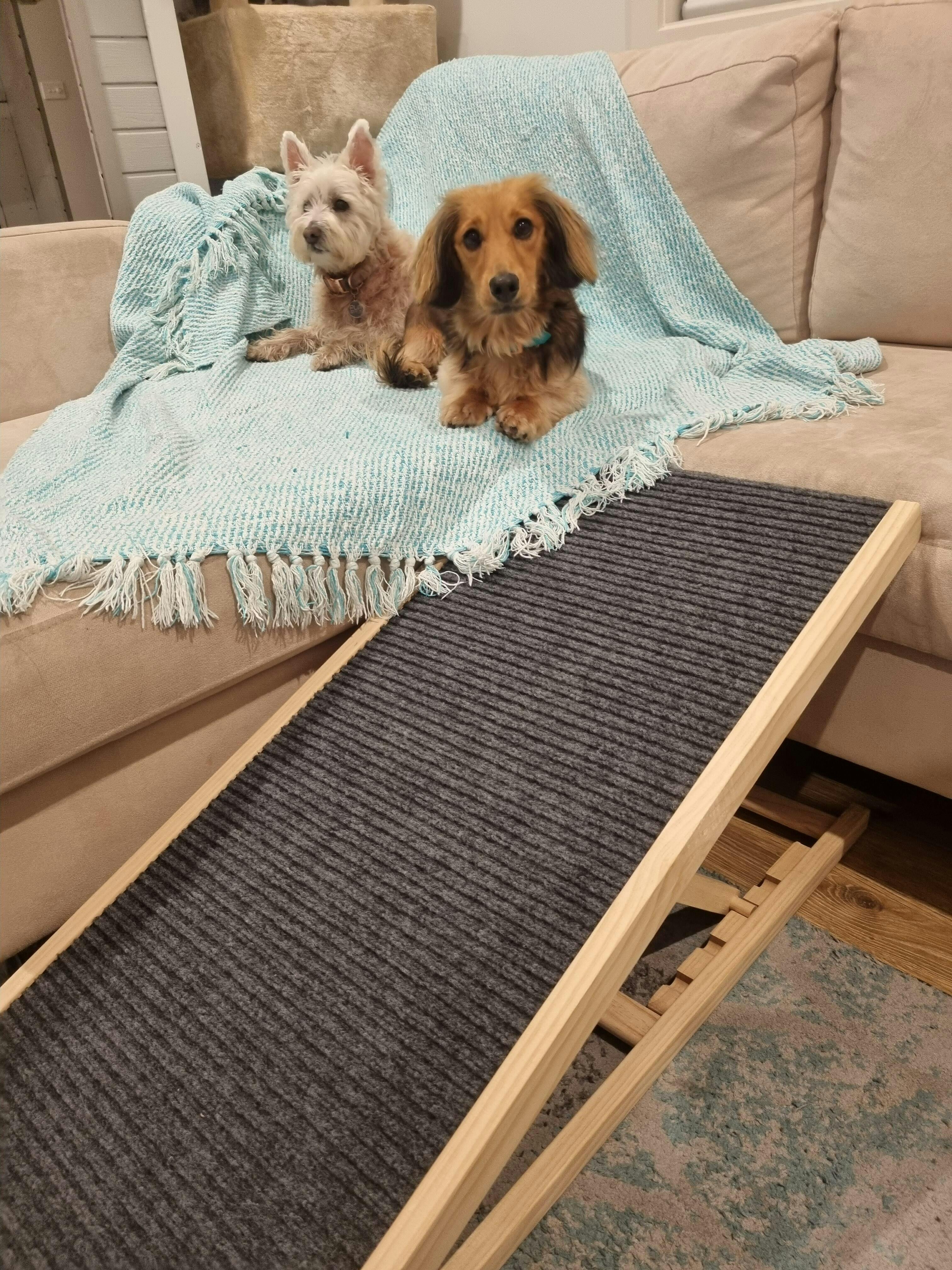 Height Adjustable Dachshund Dog Ramp | The Dog Ramp Co.