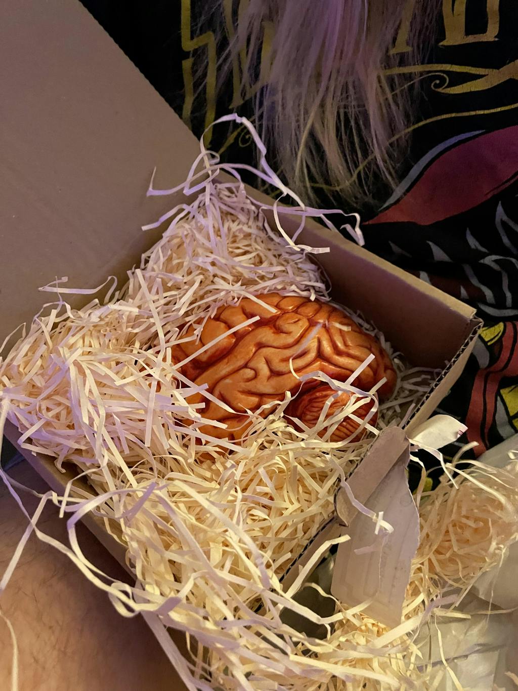 Chocolate Human Brain – The Edible Museum