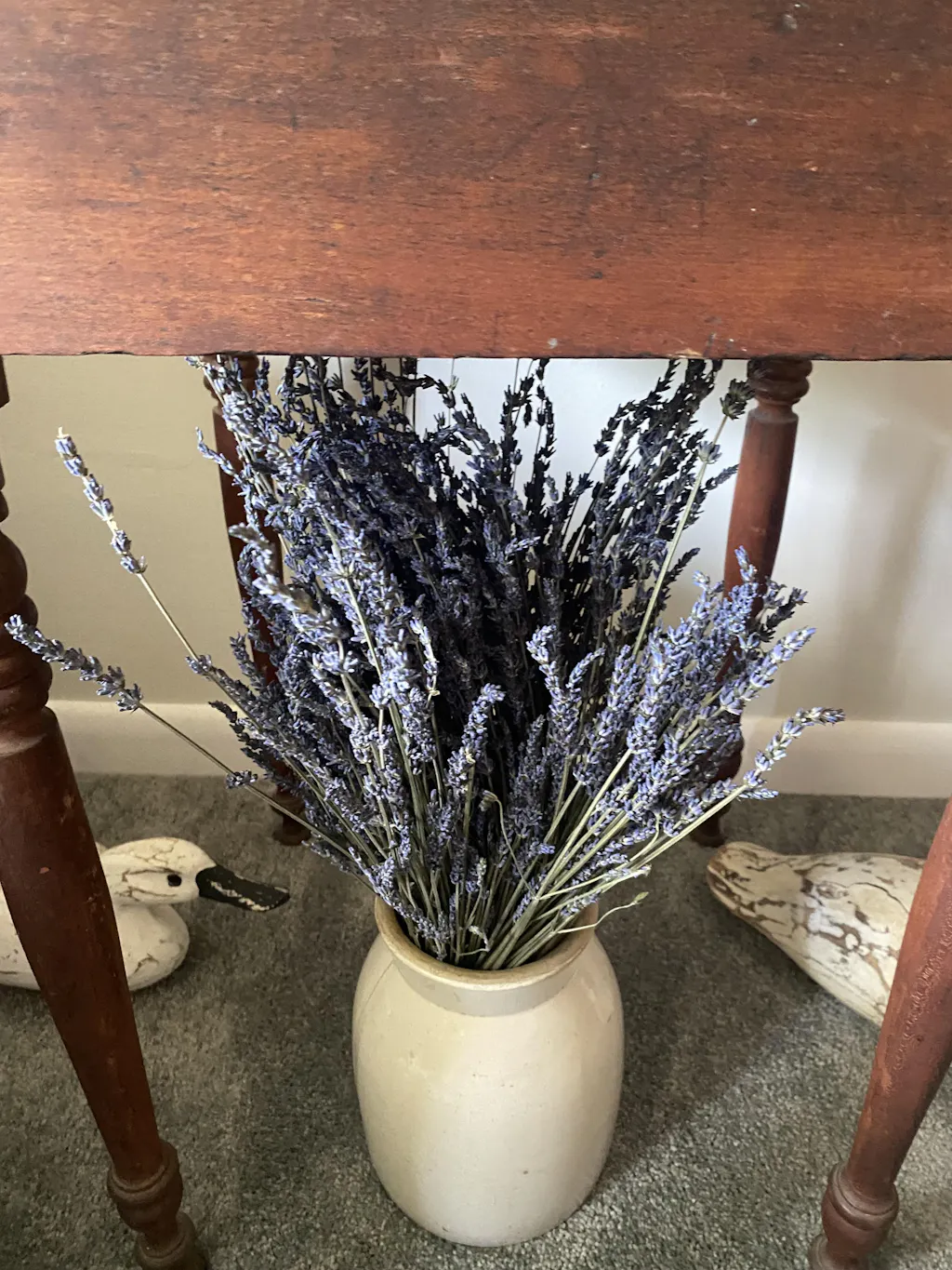 French Lavender Bunch – The Farm On Central