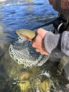 The Fly Crate: Premium Monthly Fly Fishing Subscription Box | Online ...