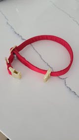 Ruby Dog Collar – The Foggy Dog