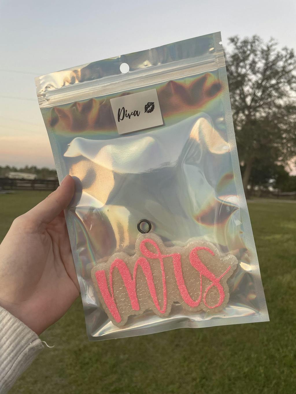 Car Freshie Instruction Guide – The Freshie Junkie, LLC