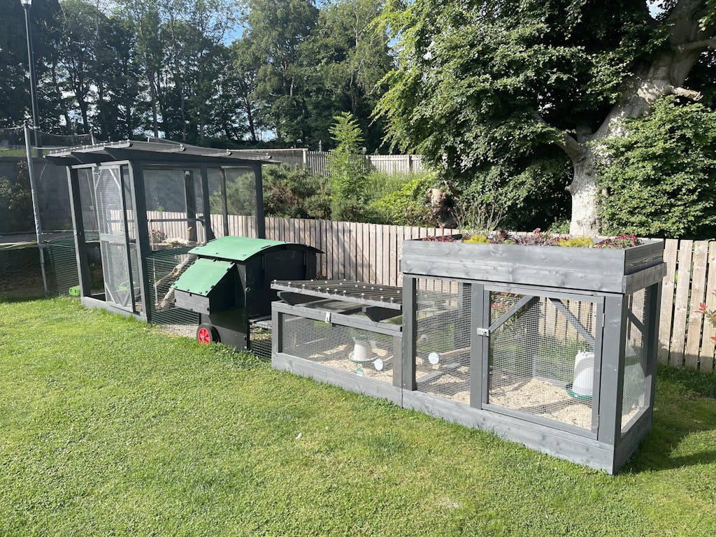 The Garden Run Enclosed Chicken Run Plans, Complete Series | The Garden ...