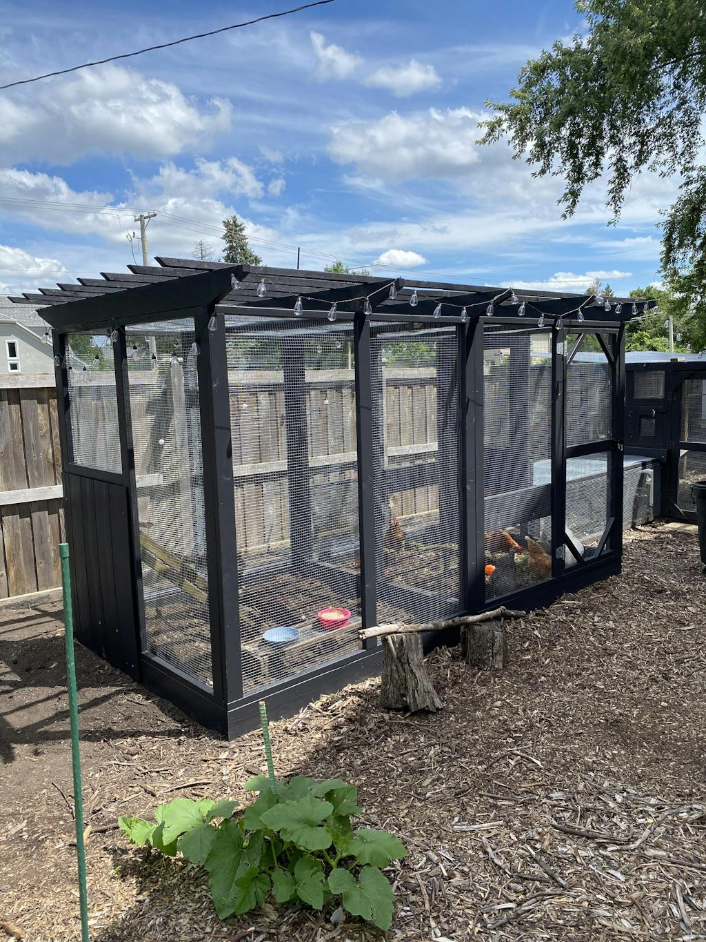 The Garden Run Enclosed Chicken Run Plans, Complete Series | The Garden ...