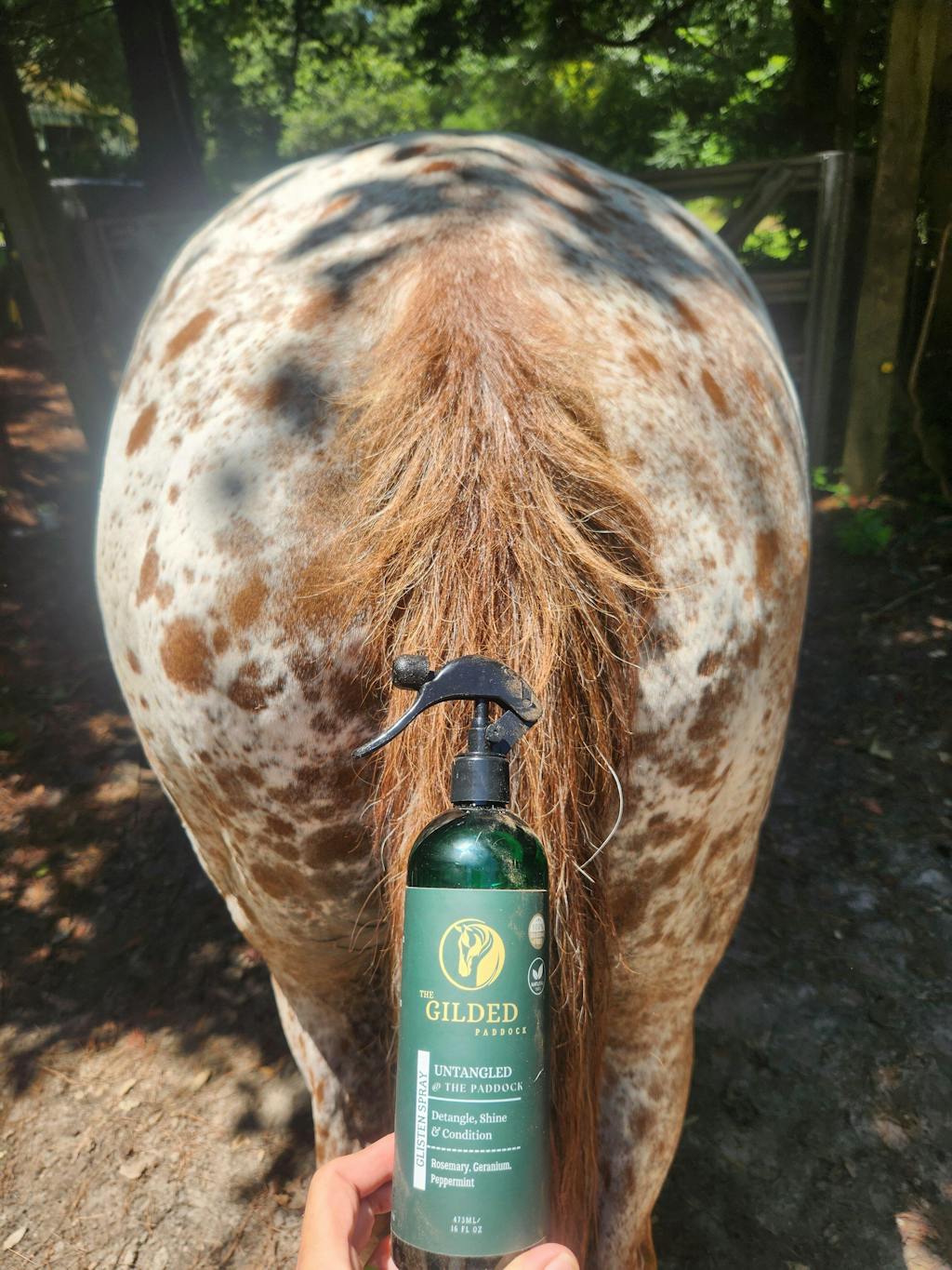 UNTANGLED @ The Paddock - The VERY BEST 100% Natural Detangler System ...