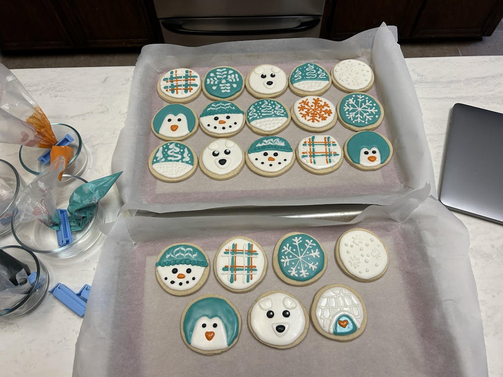 Beginner Winter Online Cookie Decorating Class – The Graceful Baker Shop