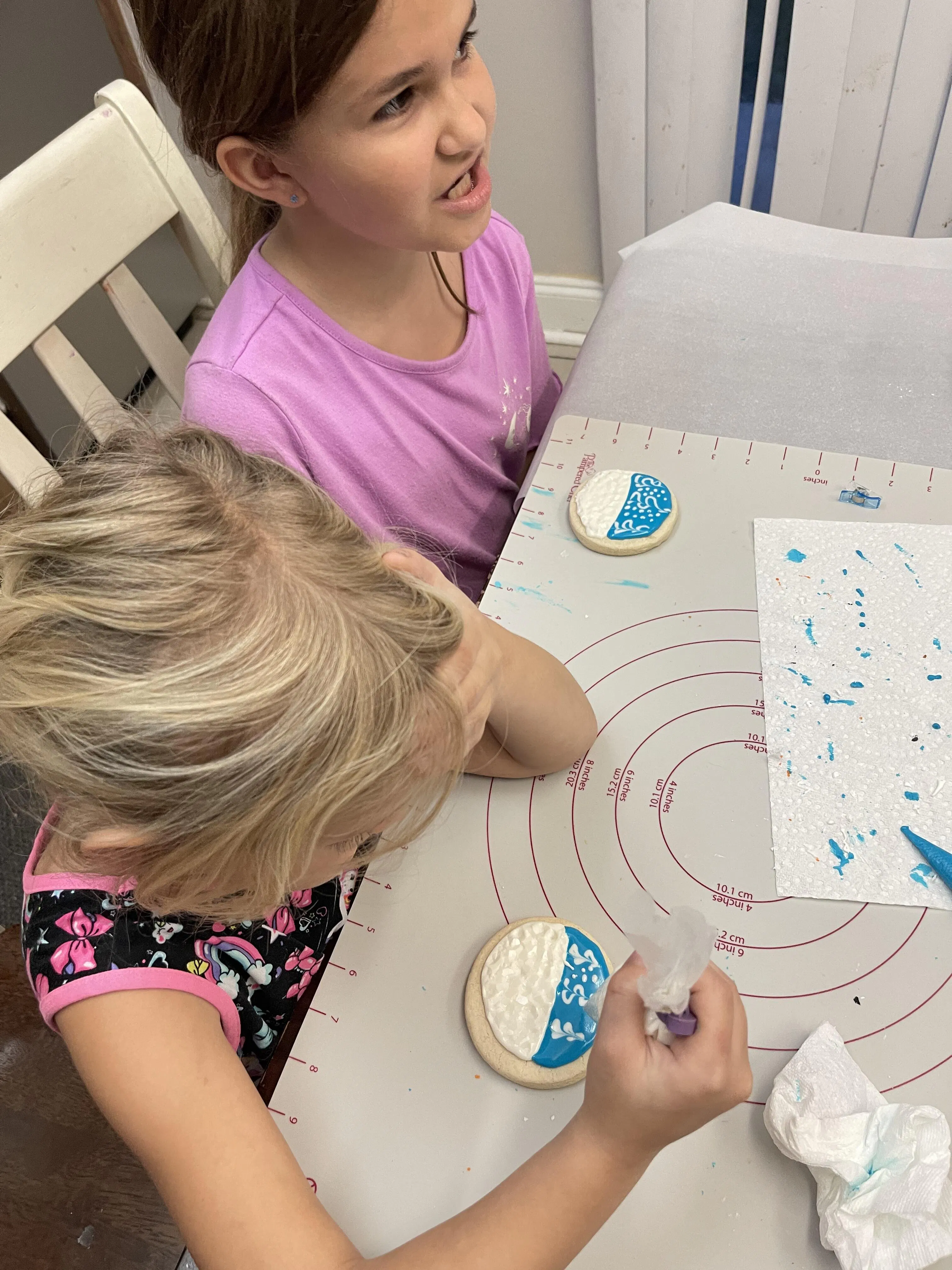 Beginner Winter Online Cookie Decorating Class – The Graceful Baker Shop