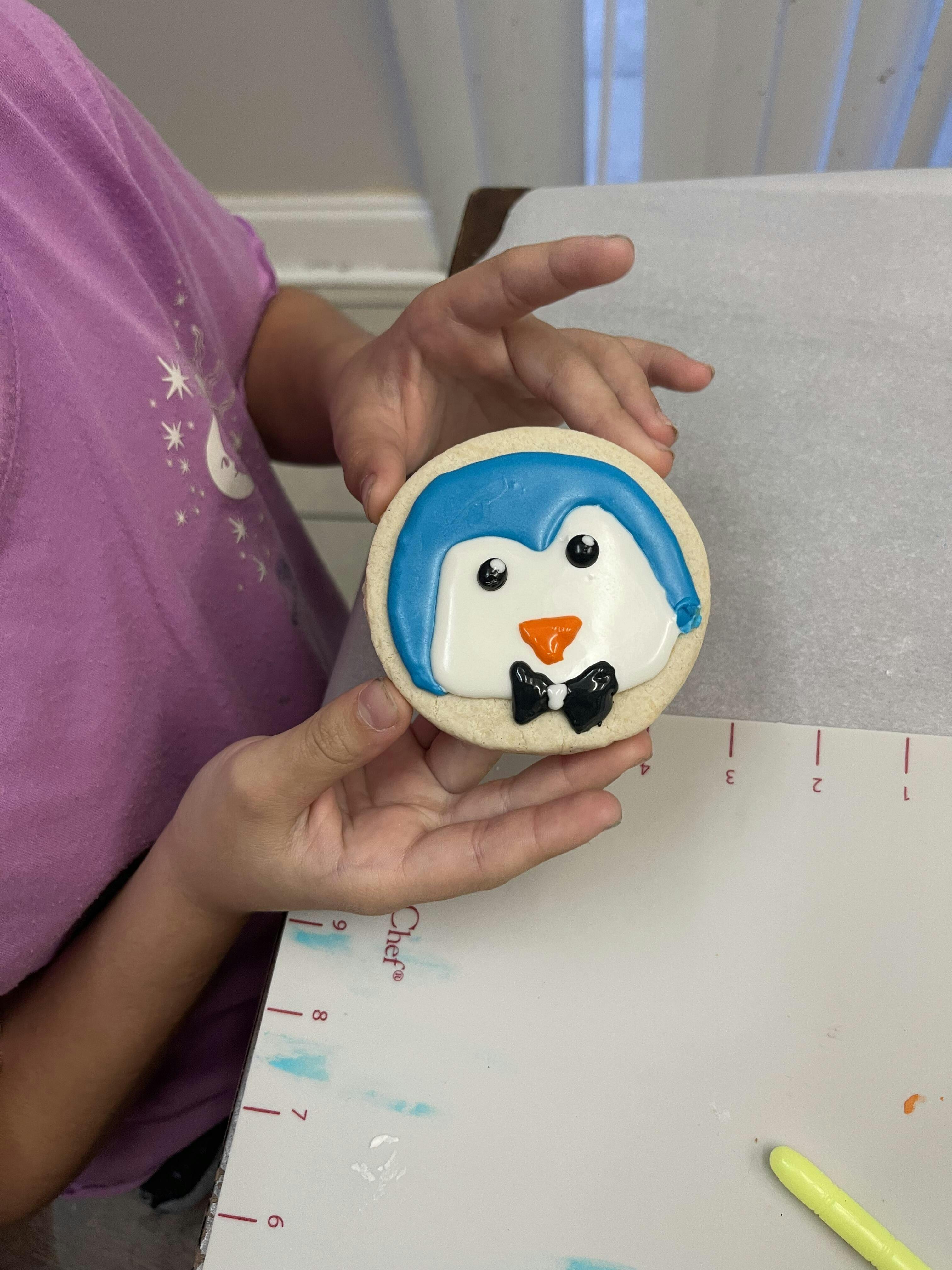 Beginner Winter Online Cookie Decorating Class – The Graceful Baker Shop