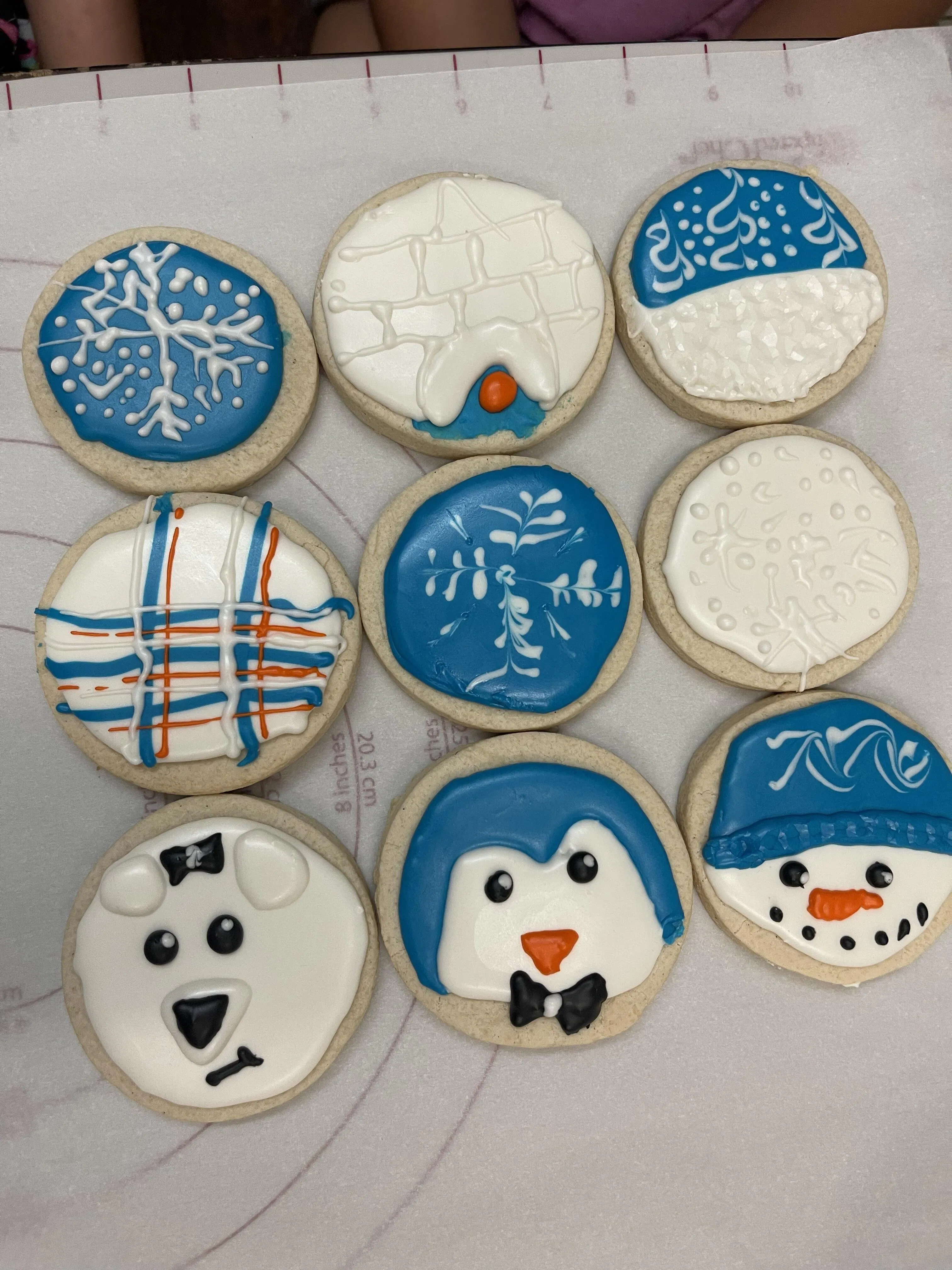 Beginner Winter Online Cookie Decorating Class – The Graceful Baker Shop