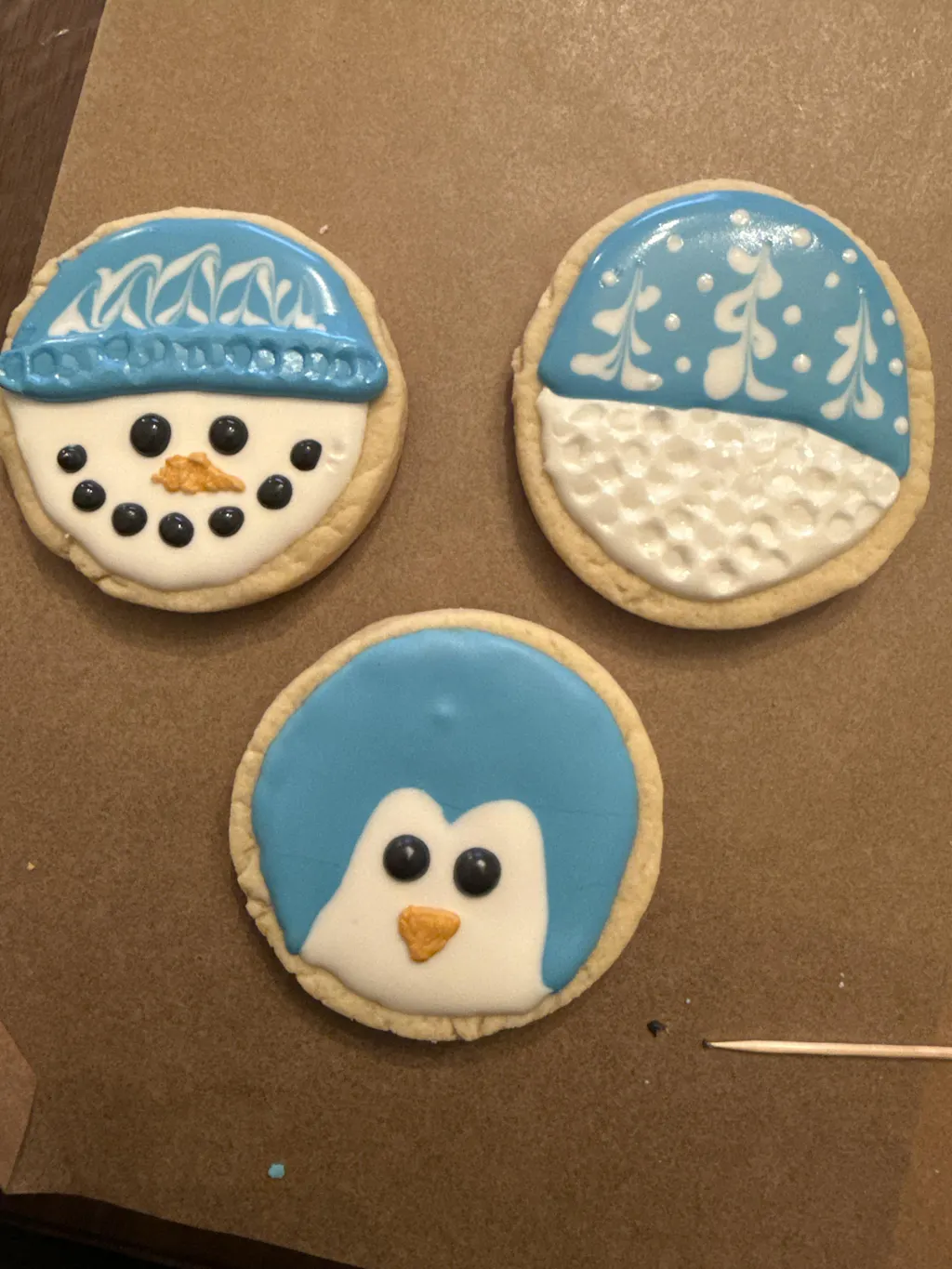Beginner Winter Online Cookie Decorating Class – The Graceful Baker Shop