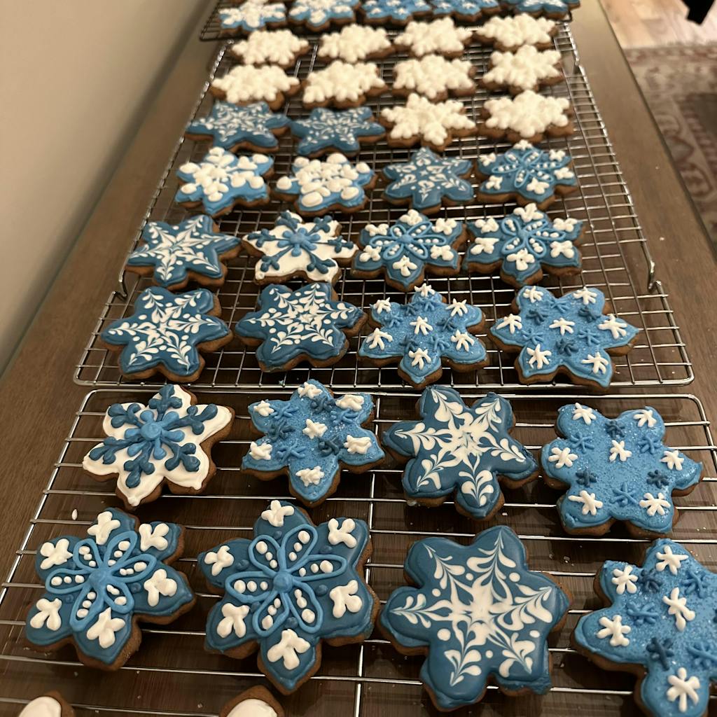 Online Cookie Decorating Classes with The Graceful Baker – The Graceful Baker Shop