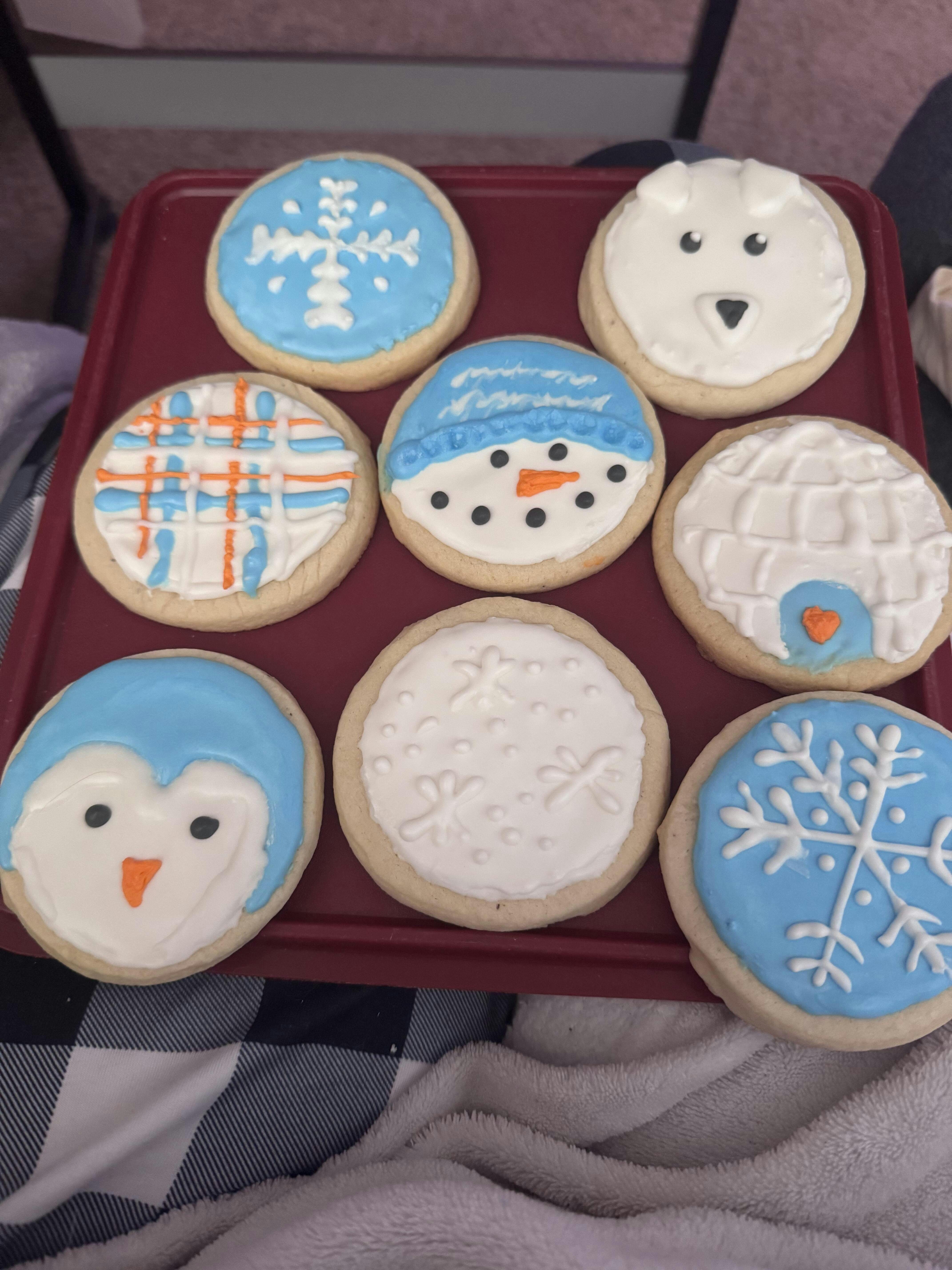 Beginner Winter Online Cookie Decorating Class – The Graceful Baker Shop