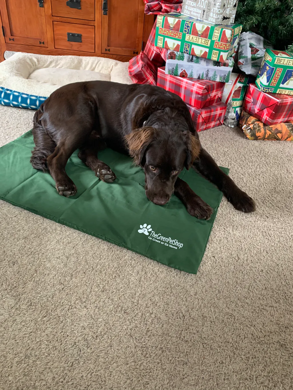 Cool Pet Pad Cover – The Green Pet Shop