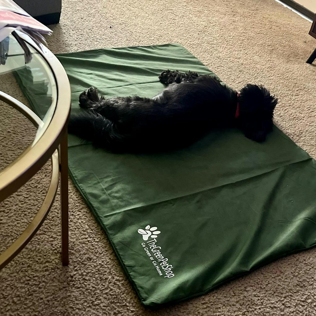 Cool Flash Pad | Green Pet