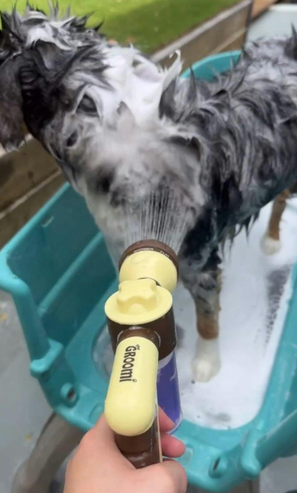 GROOMI Reviews – The GROOMI