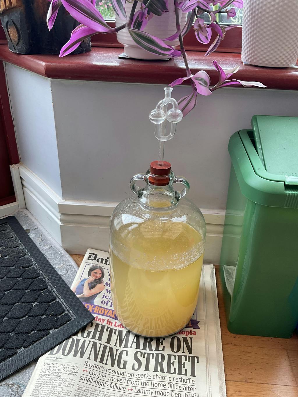 Pectolase ( Pectic Enzyme ) 100g | The Home Brew Shop