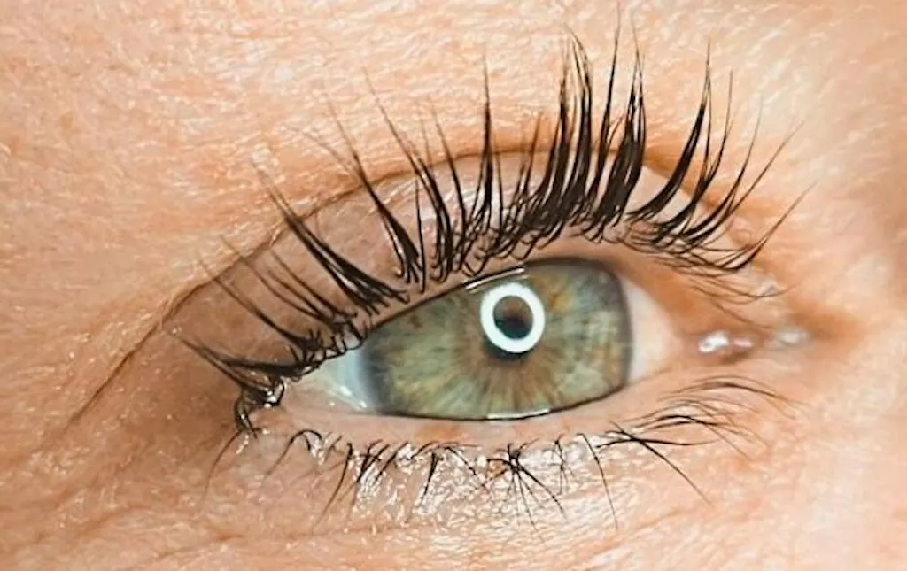 Lash Lift and Tint Course - THE LASH SHOP – THE LASH SHOP INTL
