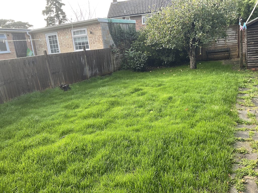 The Lawn Pack - The Ultimate Lawn Transformation Kit