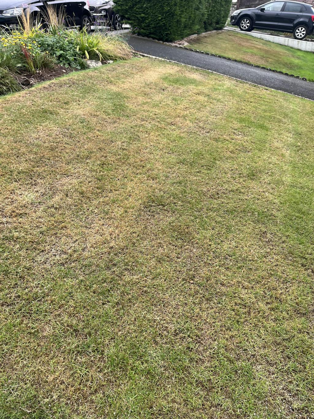 The Lawn Pack - The Ultimate Lawn Transformation Kit