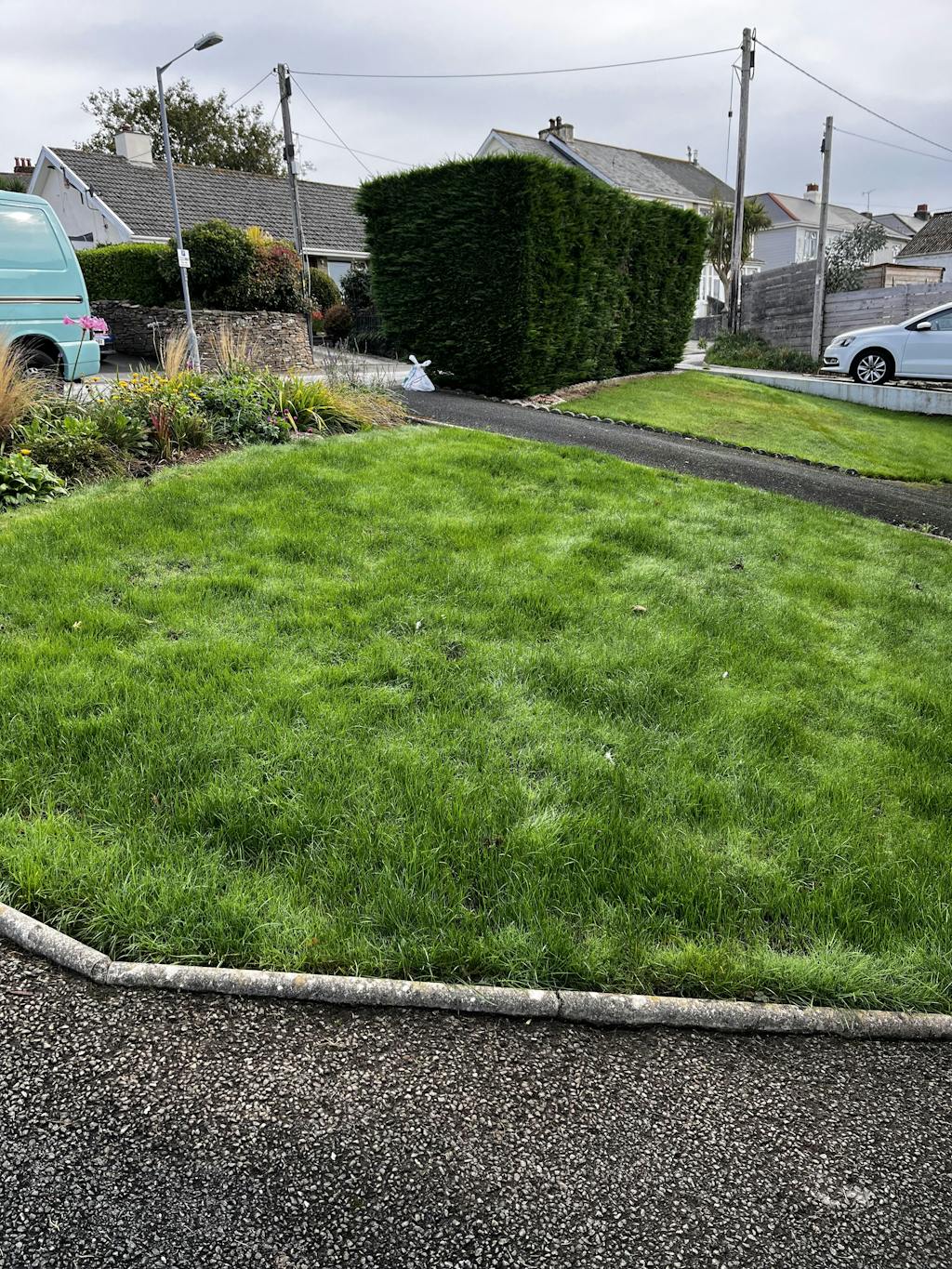 The Lawn Pack - The Ultimate Lawn Transformation Kit