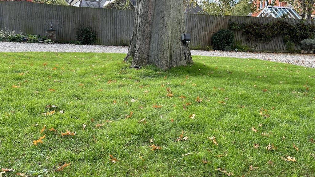 The Lawn Pack - The Ultimate Lawn Transformation Kit