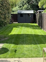 The Lawn Pack - The Ultimate Lawn Transformation Kit