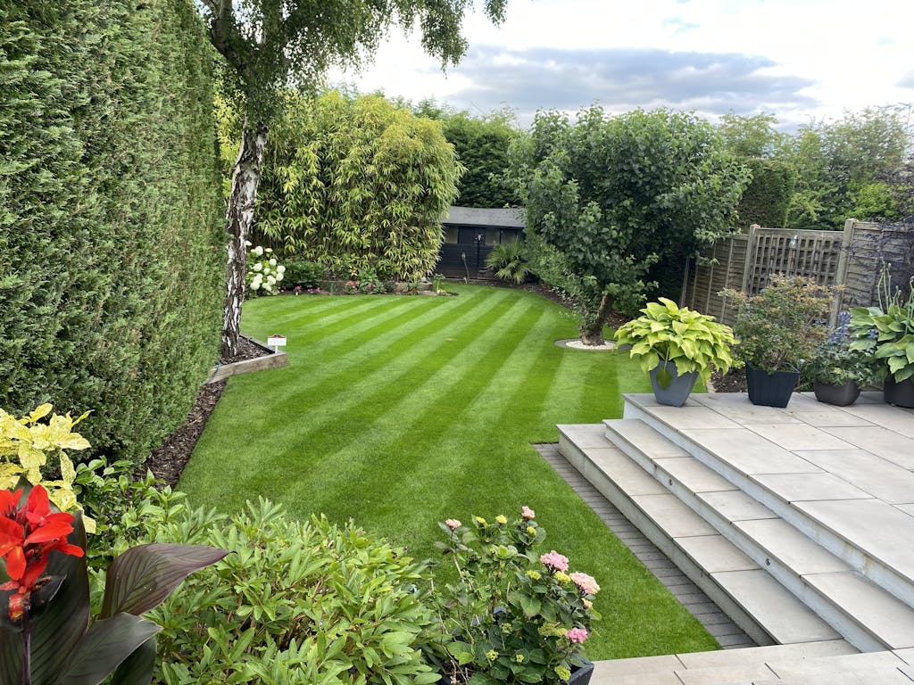 The Lawn Pack - The Ultimate Lawn Transformation Kit