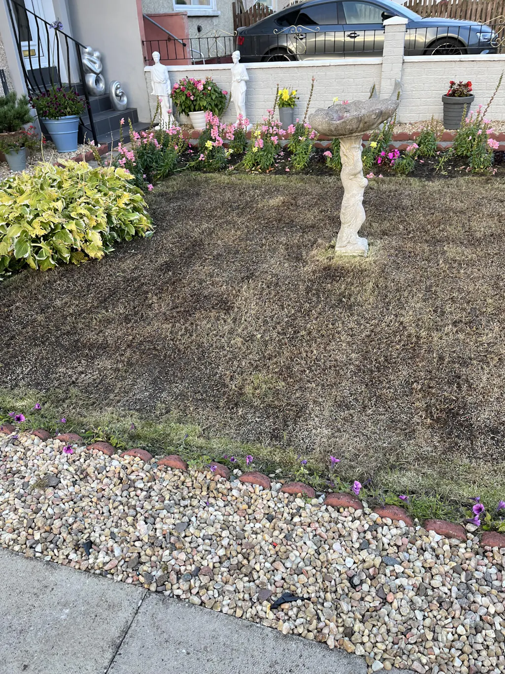 The Lawn Pack - The Ultimate Lawn Transformation Kit