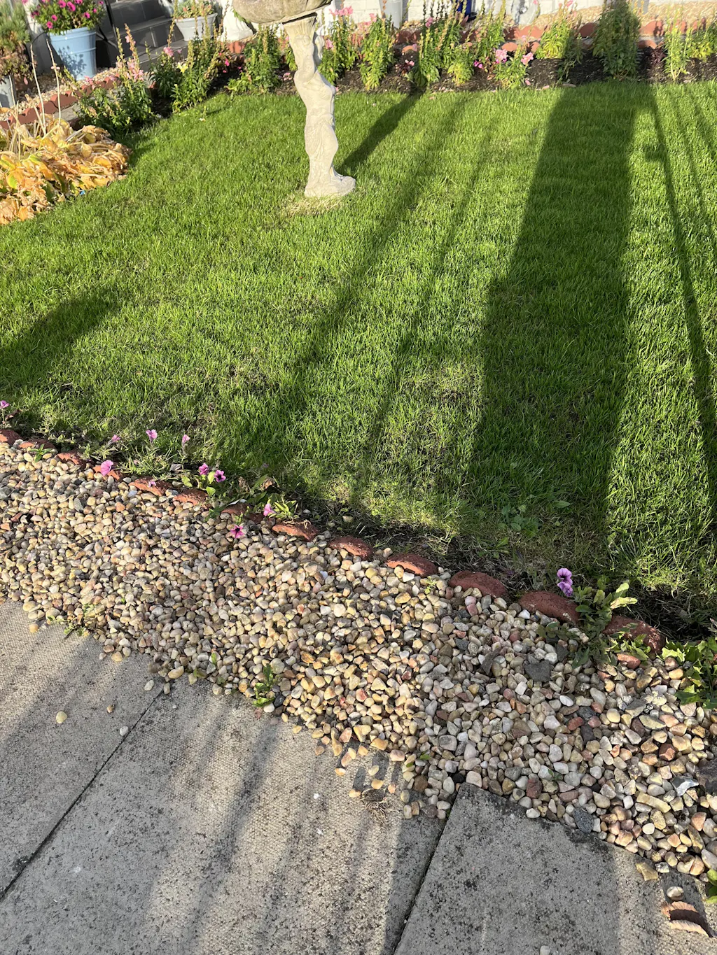 The Lawn Pack - The Ultimate Lawn Transformation Kit