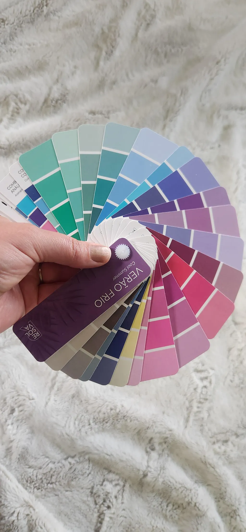 *NEW* Color Swatch Fan - 12 Season Method – The Outfit Curator