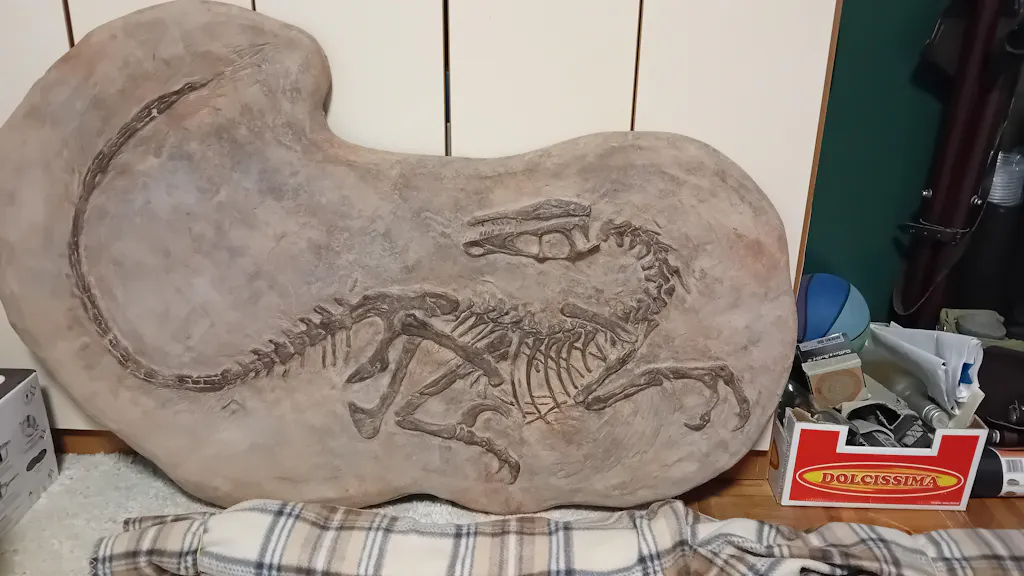 Velociraptor mongoliensis Life Size 'Death Pose' Skeleton Wall Display ...