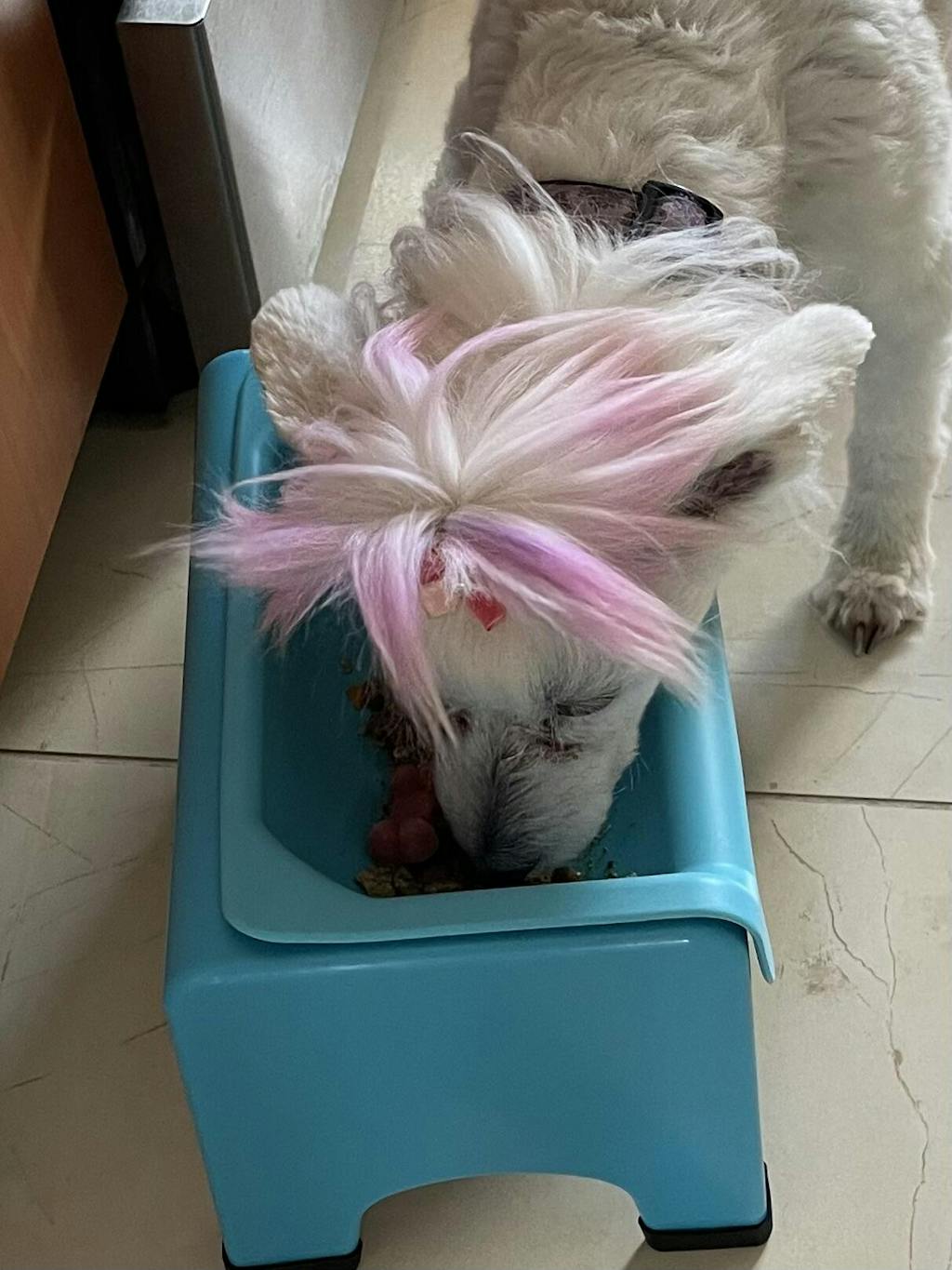 Fluff Trough Silicone Insert Set – The Pugly Company Inc.