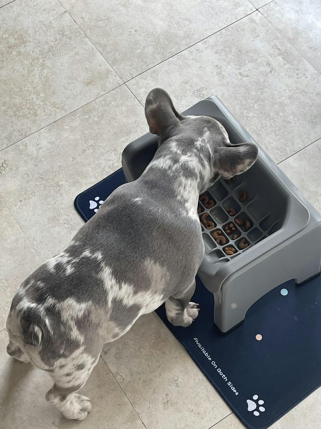 Fluff Trough Binge Blocker Set – The Pugly Company Inc.