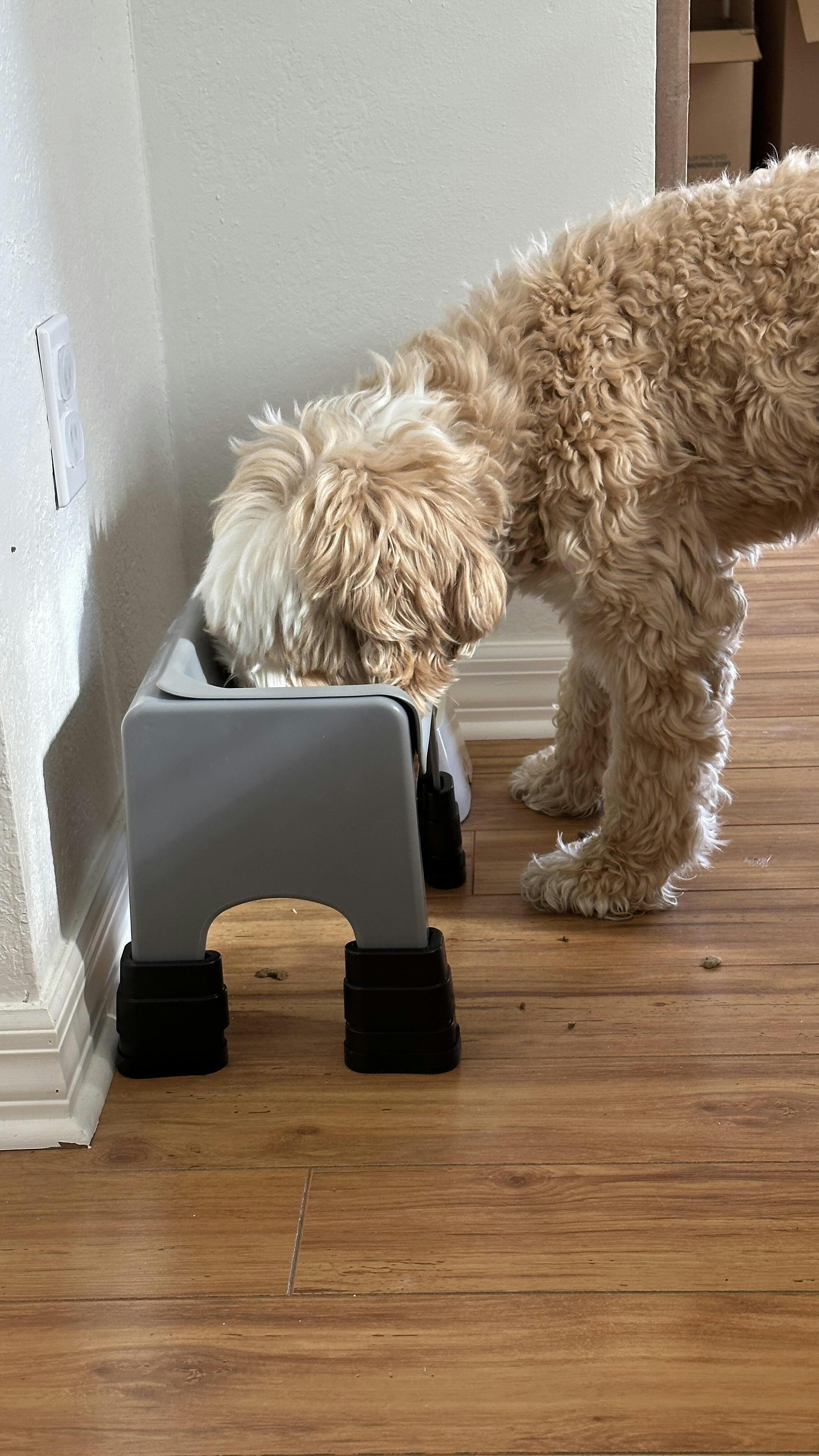 Fluff Trough Binge Blocker Set – The Pugly Company Inc.