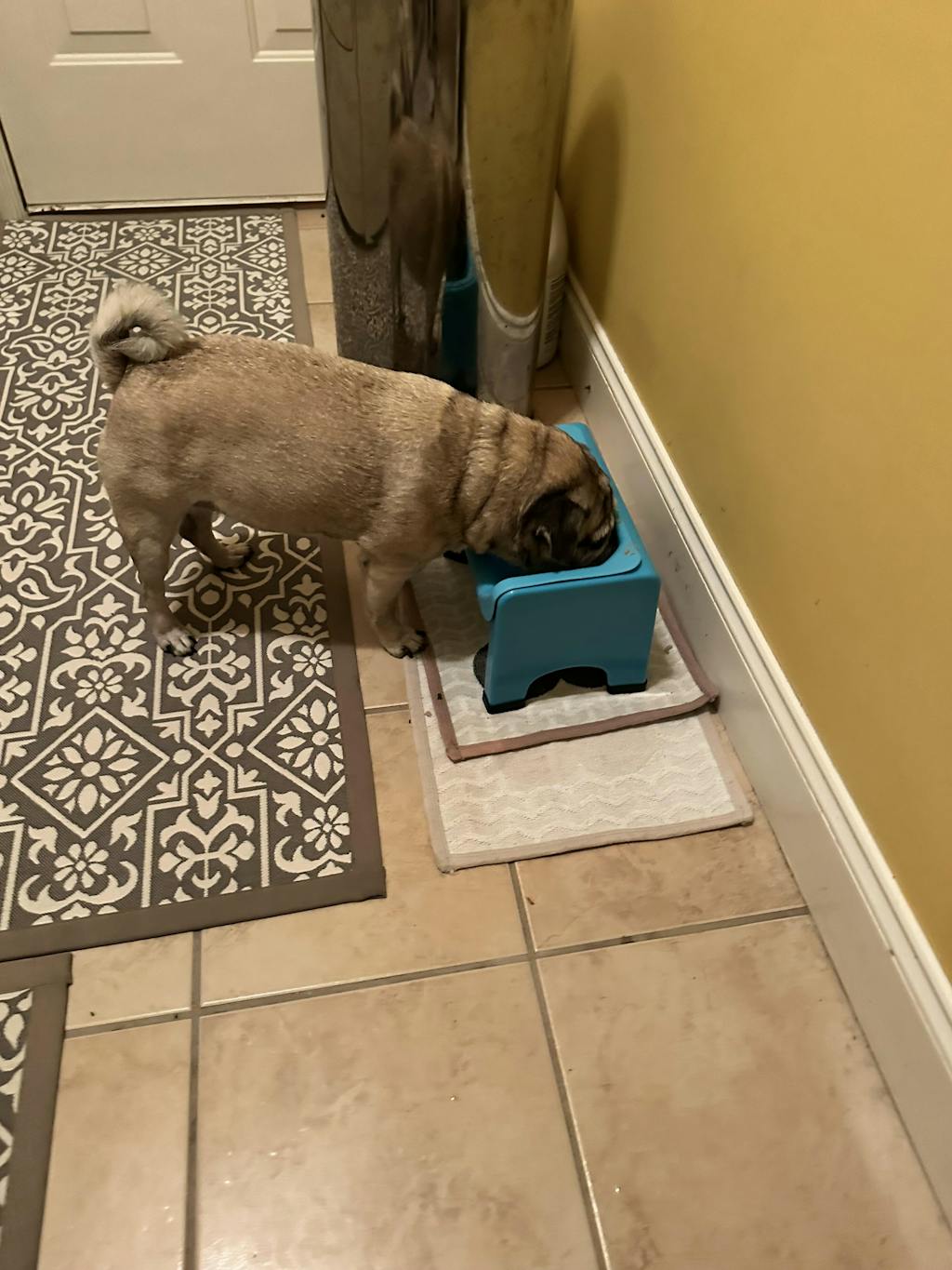 Fluff Trough Binge Blocker Set – The Pugly Company Inc.