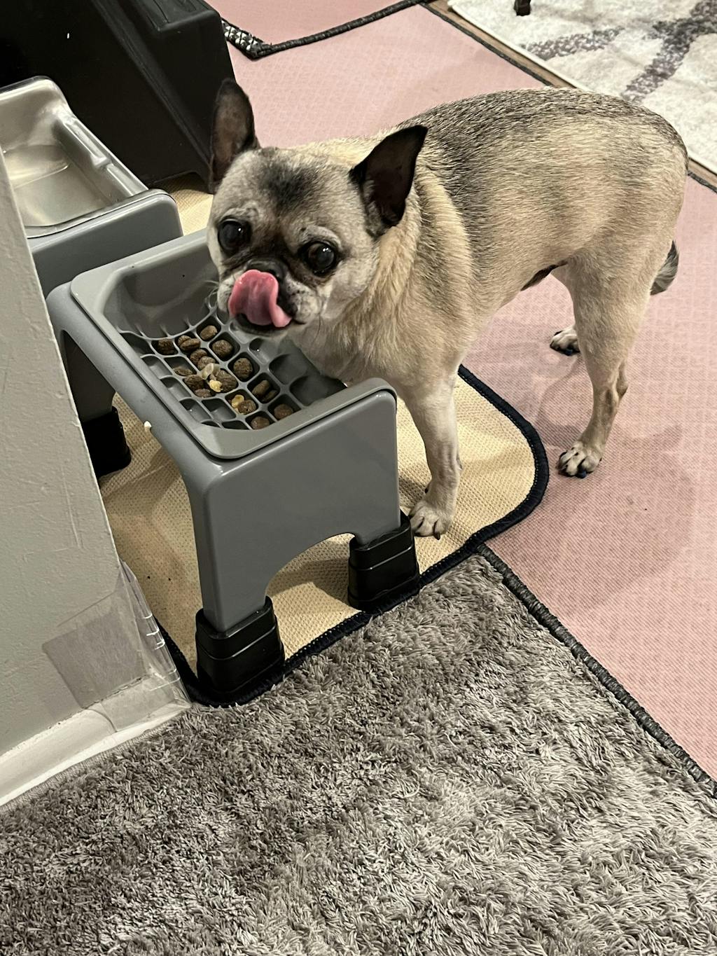 Stackable Fluff Trough Lift Kit – The Pugly Company Inc.