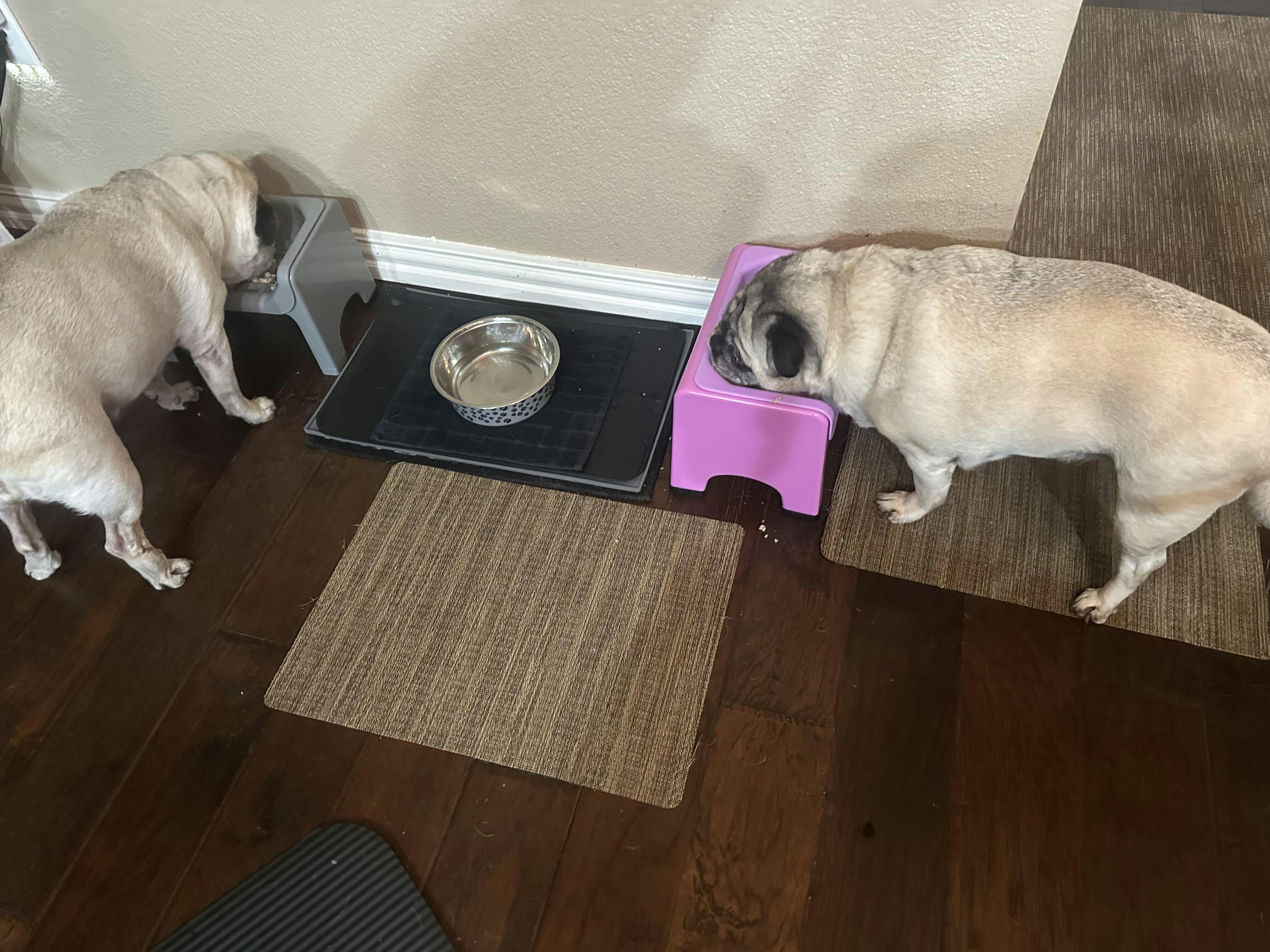 Fluff Trough Binge Blocker Set – The Pugly Company Inc.