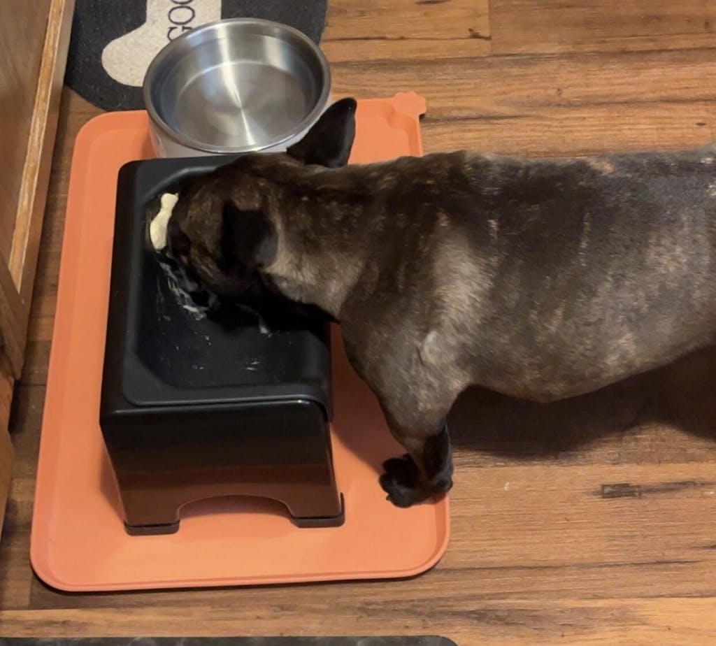 Fluff Trough Silicone Insert Set – The Pugly Company Inc.