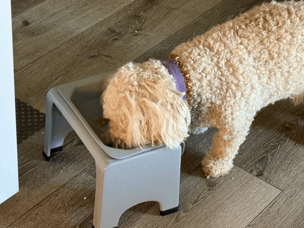 Fluff Trough Silicone Insert Set – The Pugly Company Inc.