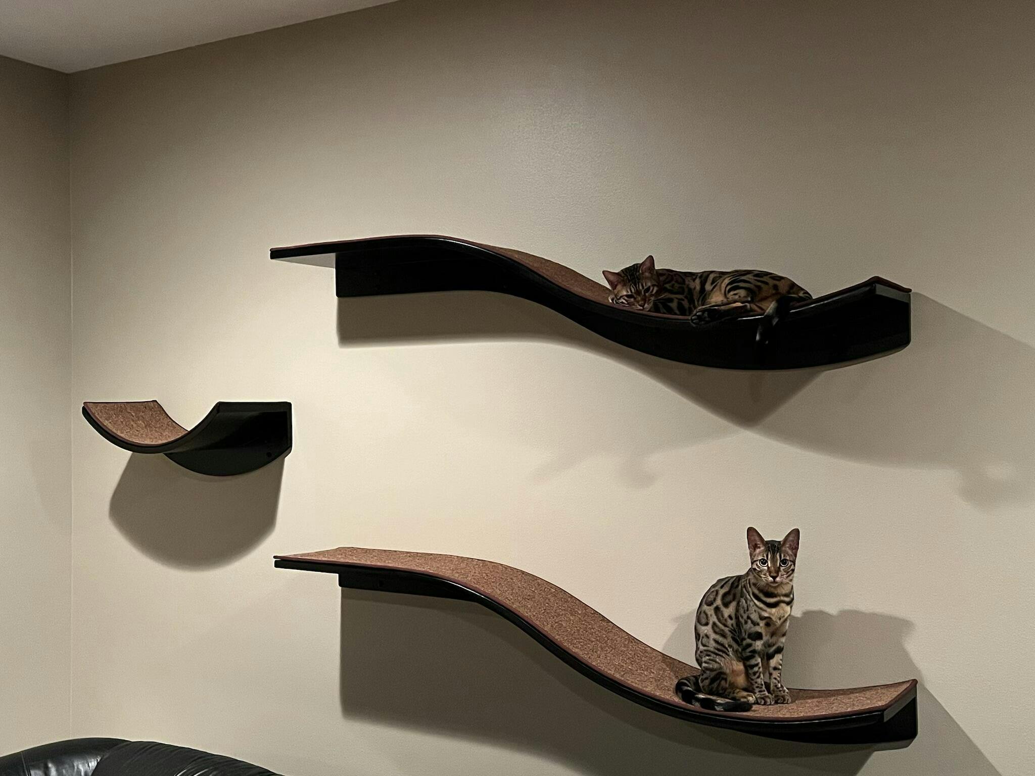 Lotus Leaf Cat Shelf | Cat Wall Shelves to Curl Into | The Refined Feline