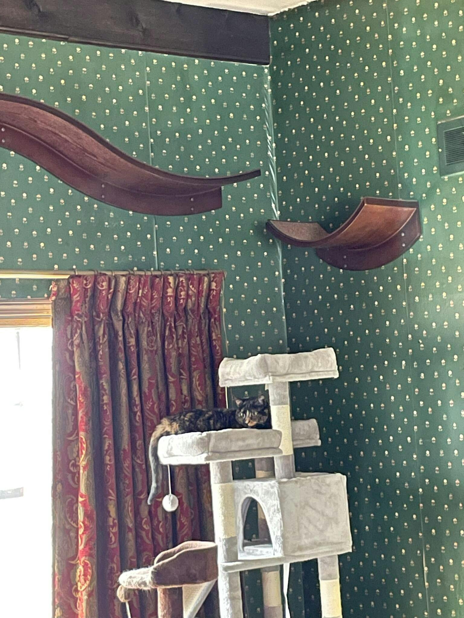 Lotus Leaf Cat Shelf | Cat Wall Shelves to Curl Into | The Refined Feline